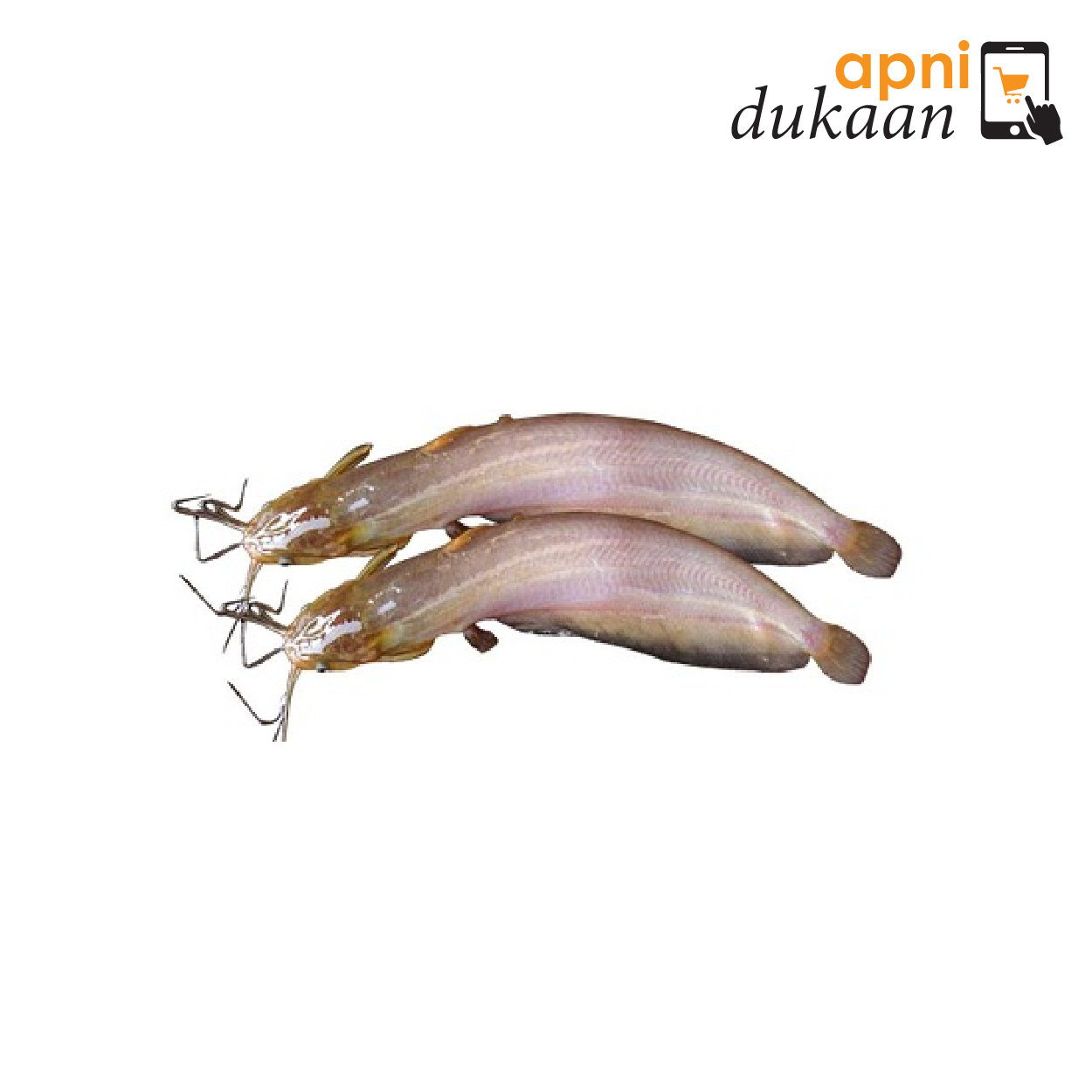 Bangladeshi Shing Fish - 500g - Apni Dukaan